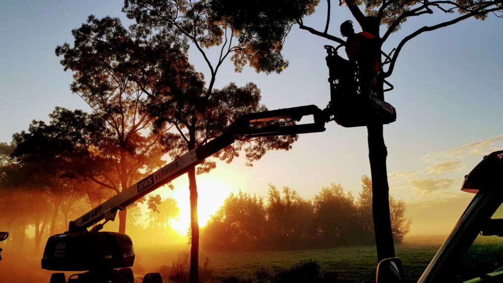 projecten in uitvoering - Quercus